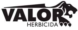 Valor® 50 WP - Sumitomo Chemical Chile